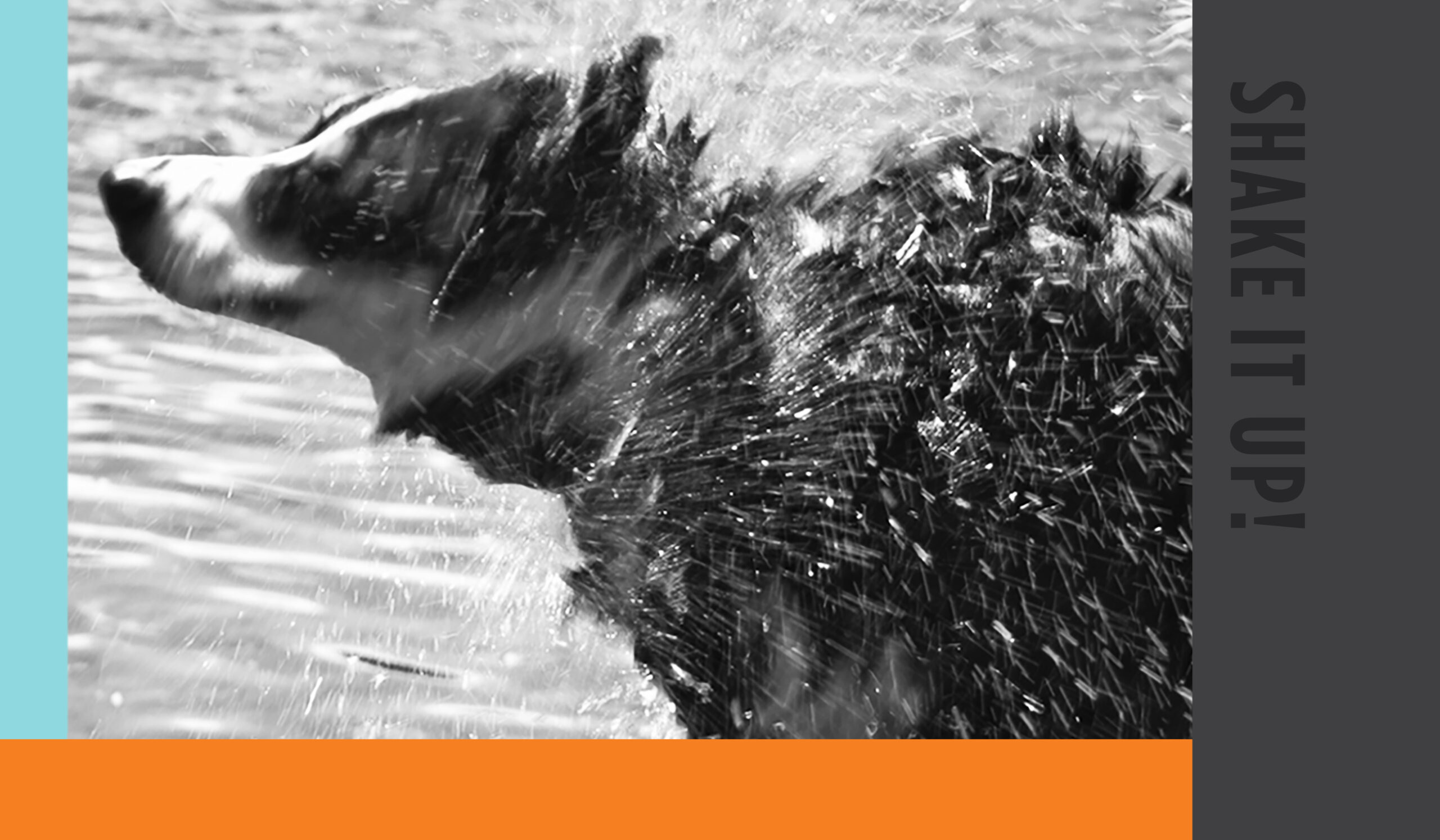 Chelsea Jones Design | agency love… without the squeeze